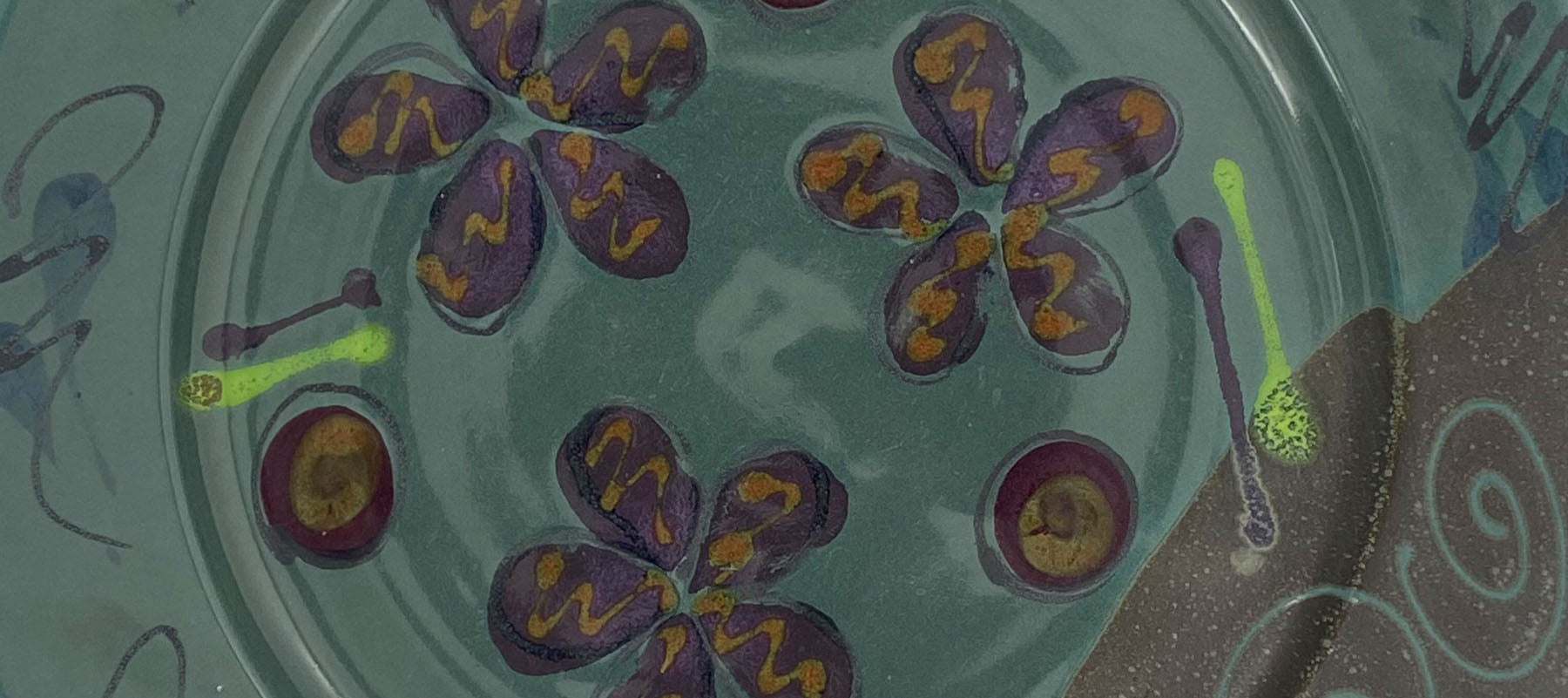 Green Poppy Pattern – Lasser Ceramics